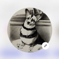 CORGI IN A PUB